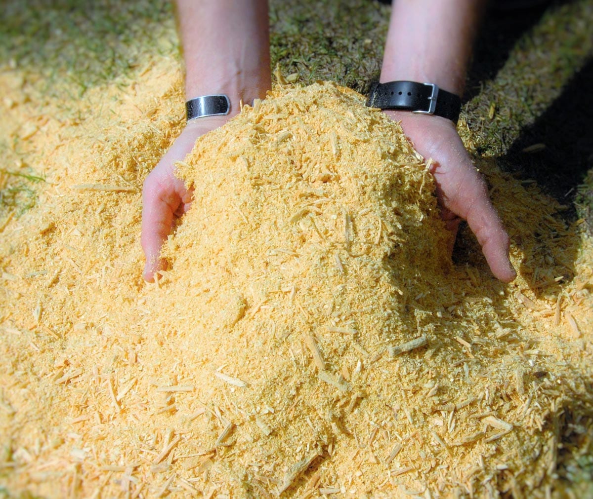 SYP Wood Chips – Lincoln Lumber